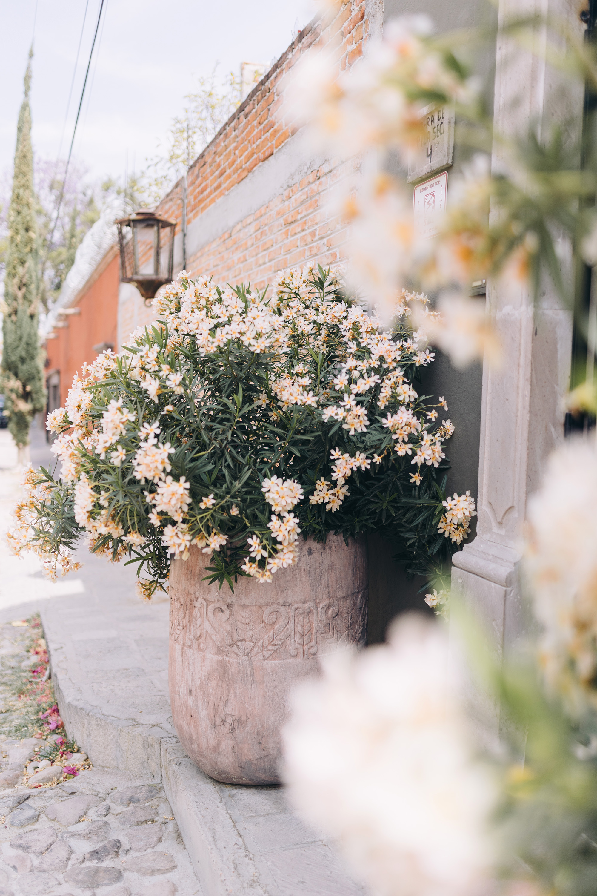 How the First Day of Spring Can Revive Your Spirit